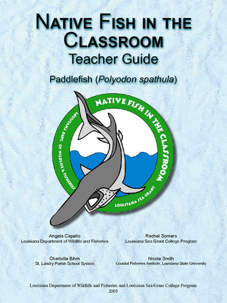 Other Curriculum – BTNEP Education